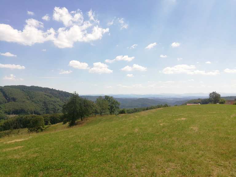 Ausblick in Endenburg: Rennradfahren und Rennradtouren | komoot