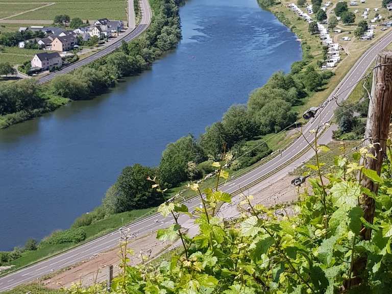 Mosel Panorama Weg - Trittenheim nach Klüsserath Cycle Routes and Map ...