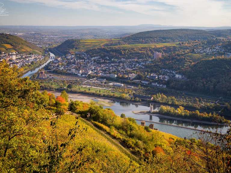 Rhein-Nahe-Eck in Bingen : Radtouren und Radwege | komoot