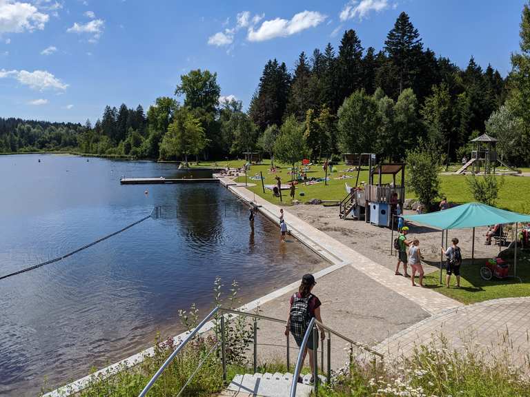 Waldsee Lindenberg – Wander- & Radrouten | Komoot