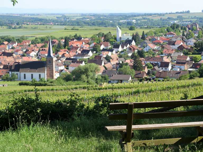 Blick auf Rechtenbach-Schweigen: Wanderungen und Rundwege | komoot