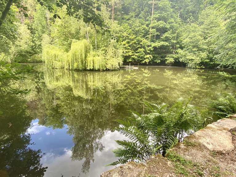 Eichensee: Wanderungen und Rundwege | komoot