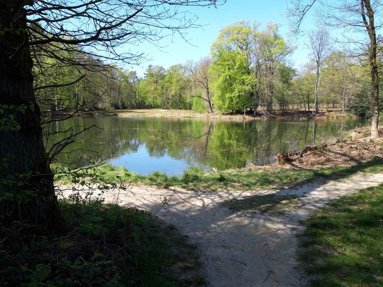 De Bronnen in het Springendal wandelroutes en hikes | Komoot