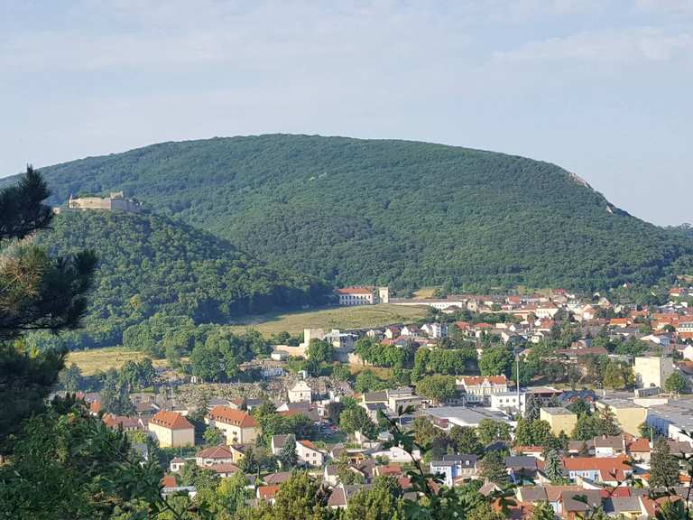 Blick vom Braunsberg: Wanderungen und Rundwege | komoot