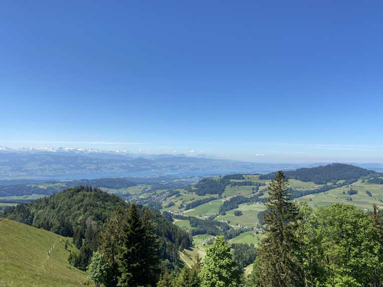 Alp Scheidegg: Wanderungen und Rundwege | komoot