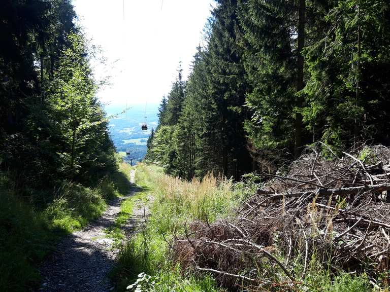 Schöckl-Liftroute: Wanderungen und Rundwege | komoot