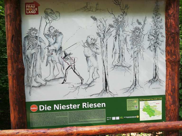 Niester Riesen ; Uralte Bäume - Routes for Walking and Hiking | Komoot