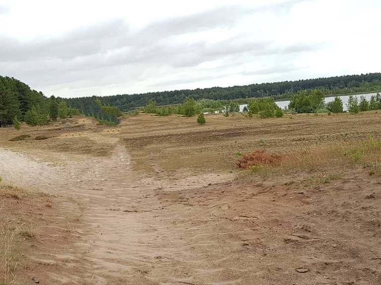 Lommelse Sahara wandelroutes en hikes | Komoot