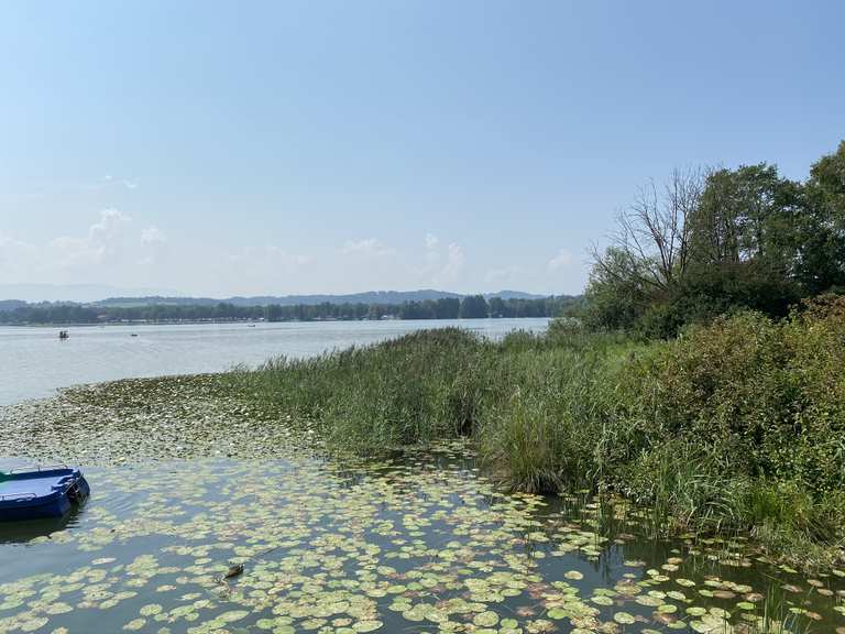Blick auf den Waginger See : Radtouren und Radwege | komoot