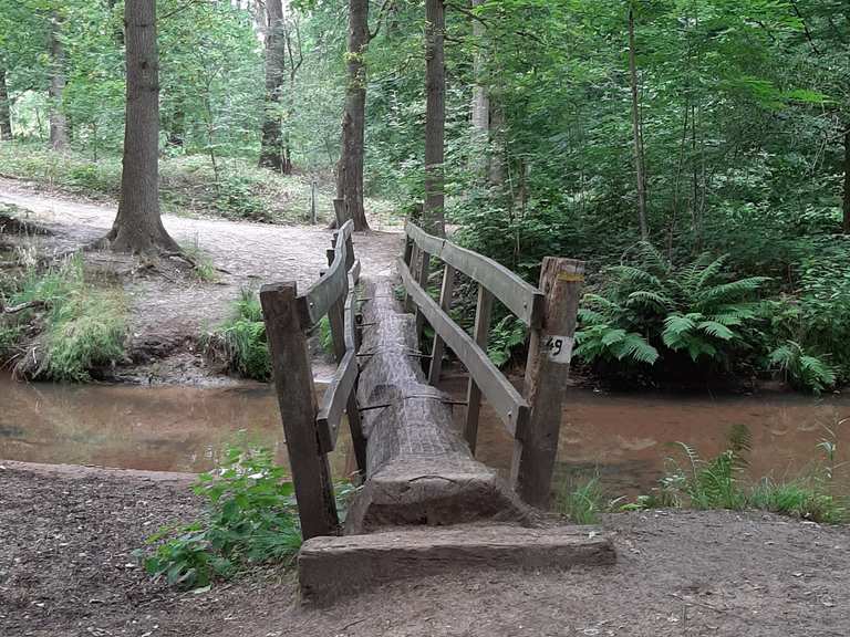 Boomstam brug wandelroutes en hikes | Komoot