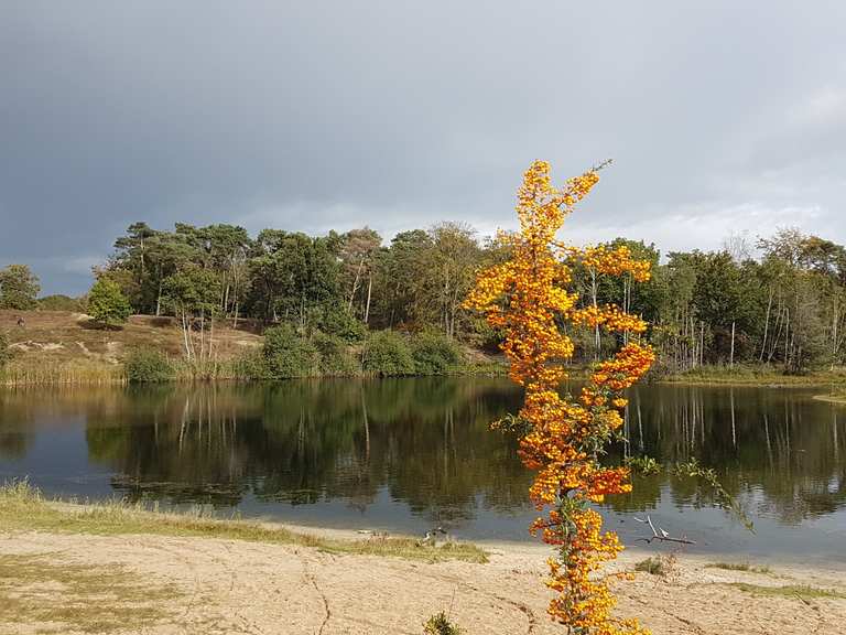 Surae bij Dorst fietsroutes en kaart | Komoot