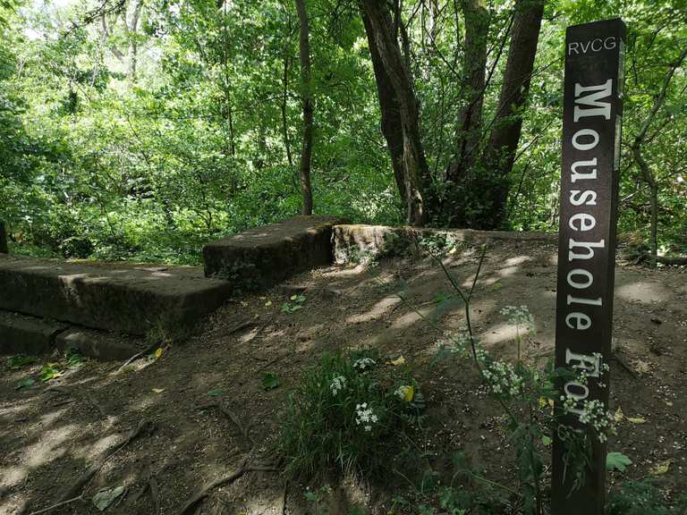 Rivelin Valley loop from Walkley Bank Tilt — West Sheffield | hike | Komoot