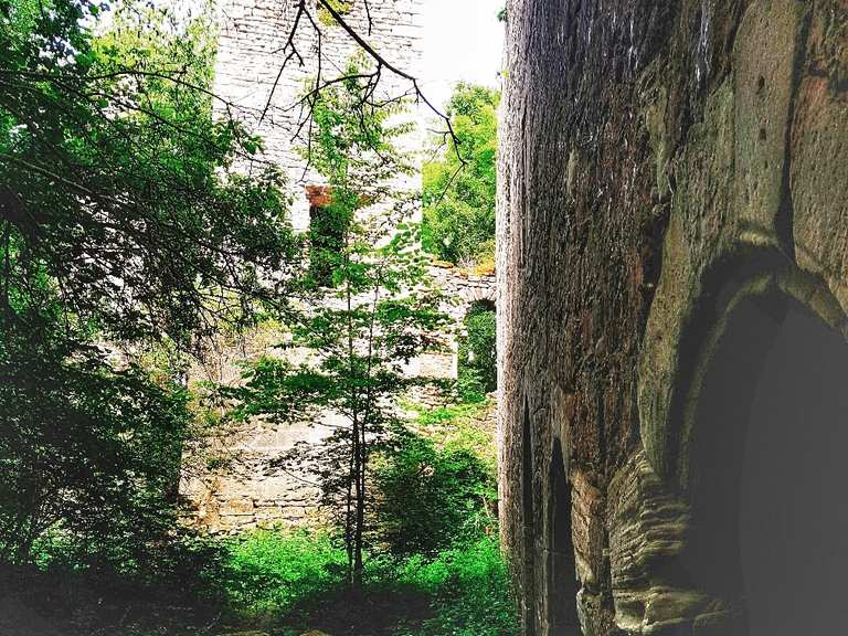 Leonrod Castle Ruins Routes for Walking and Hiking | Komoot