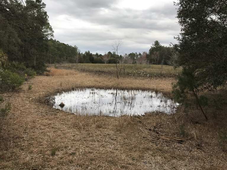 Juniper Prairie Wilderness: Wanderungen und Rundwege | komoot
