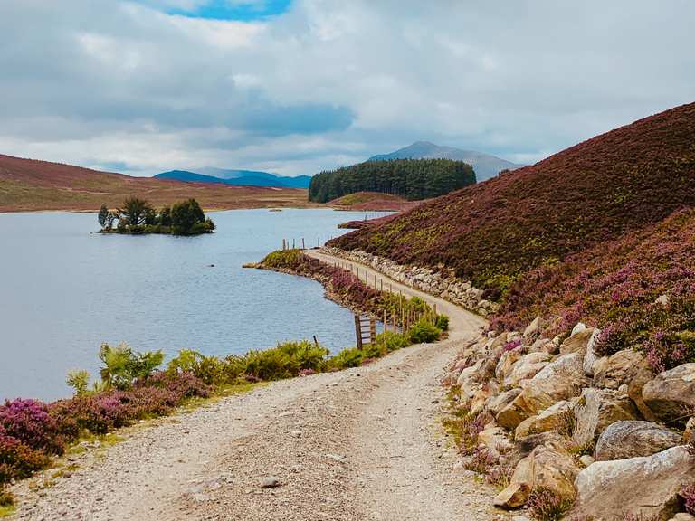 Trail to Ailtlarie – Loch Gynack loop from Newtonmore | mountain bike ride | Komoot