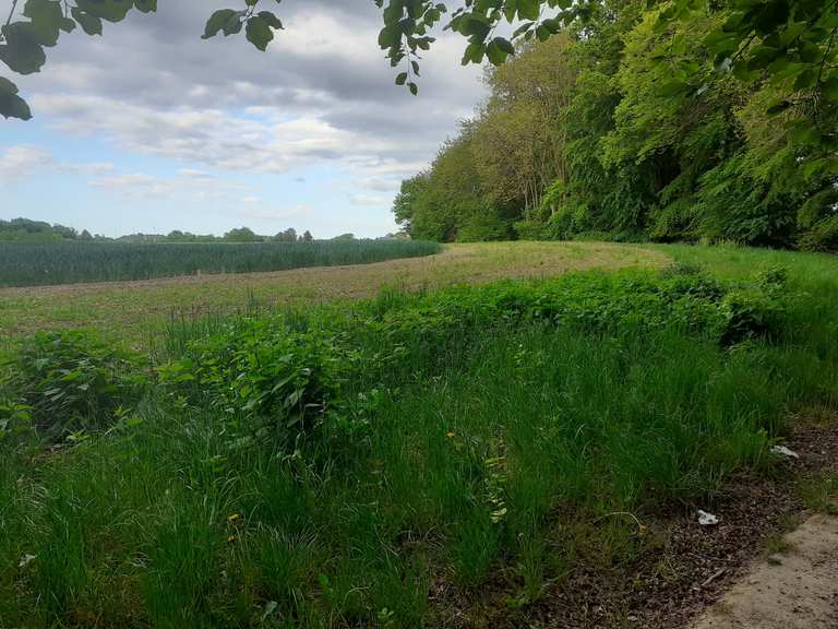 NSG Aalbeek-Niederung: Mountainbike-Touren | komoot