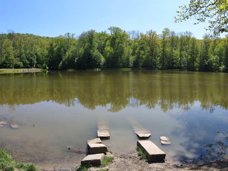 Katzenbachsee: MTB-routes en trails | Komoot