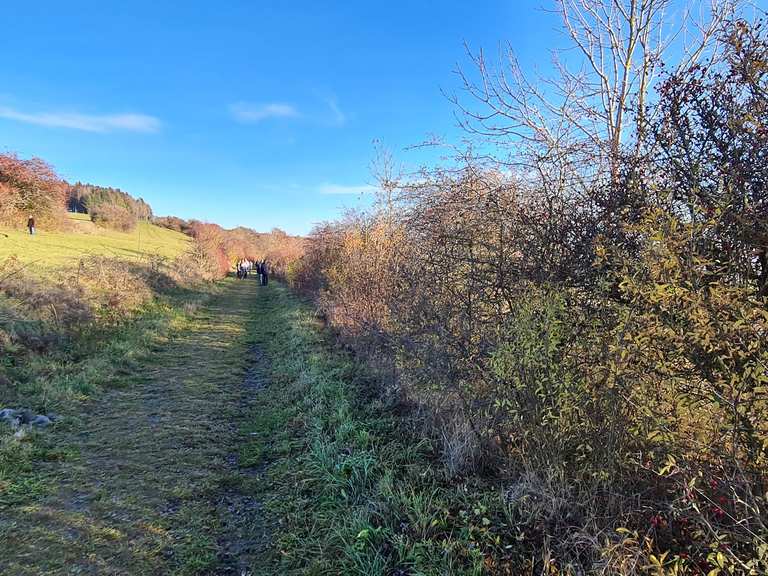 Alter Postweg Panorama Wanderweg: Wanderungen und Rundwege | komoot