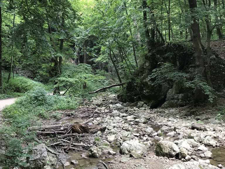 Cuha-völgy Runde von Vinye | Wanderung | Komoot