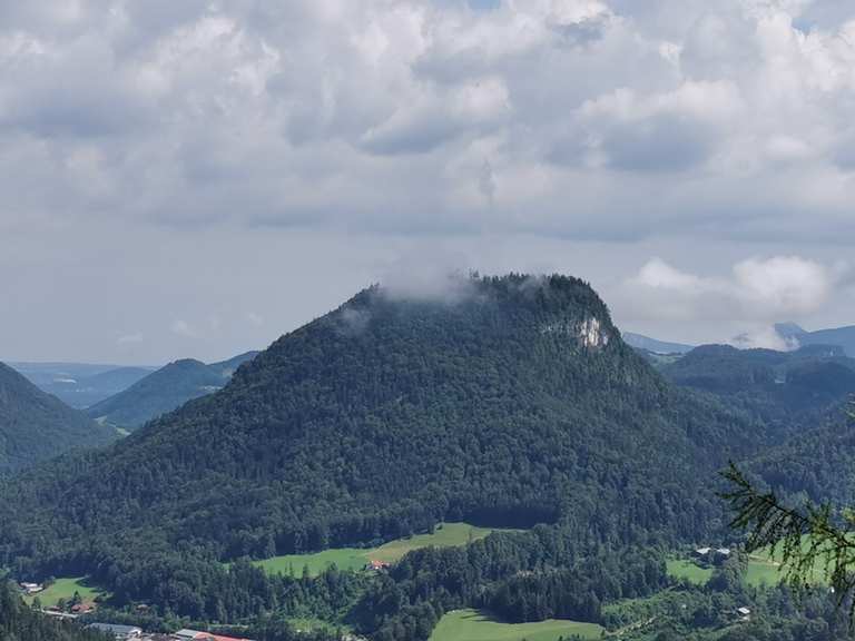 Aussichtspunkt "Teehaus am Mooslahnerkopf" Routes for Walking and ...