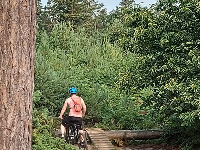 Swinley Forest red loop - Mountain Bike Trails & Tracks | Komoot
