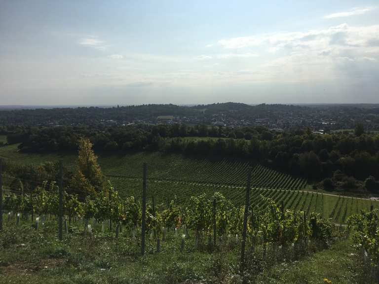 Denbies Hill Climb Cycle Routes and Map | Komoot