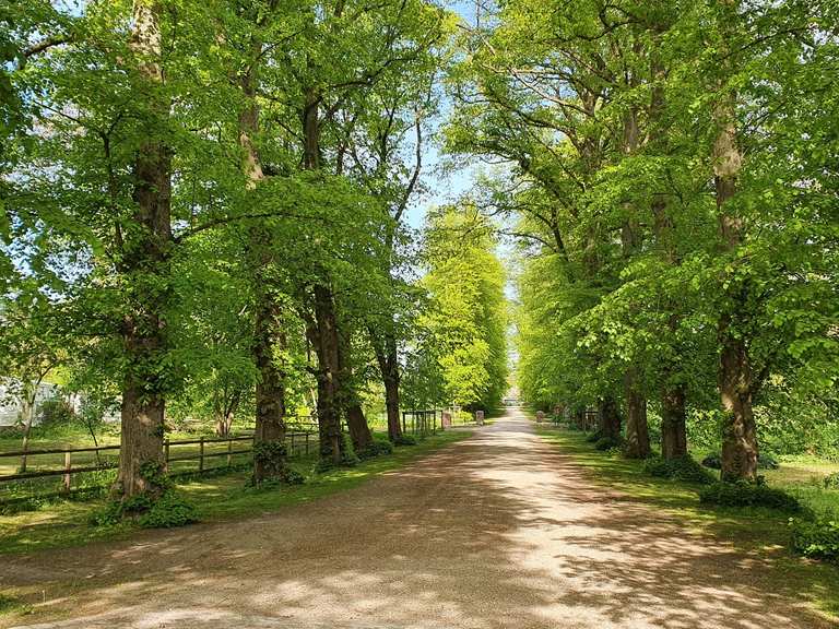 Gut Gudow : Radtouren und Radwege | komoot