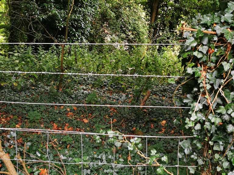 The Battle of Mickleton Tunnel Routes for Walking and Hiking | Komoot