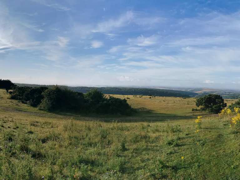 Butser Hill Routes for Walking and Hiking | Komoot