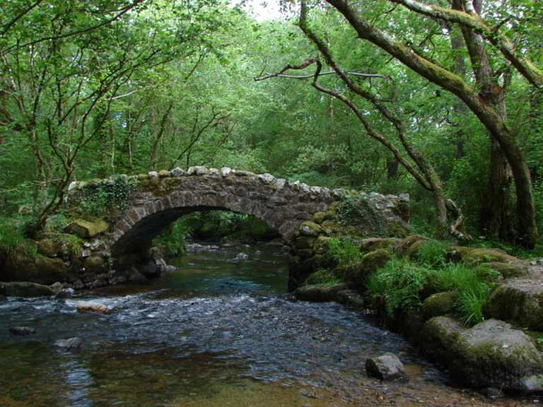 Pullabrook Woods via Water Village — Dartmoor National Park | hike | Komoot