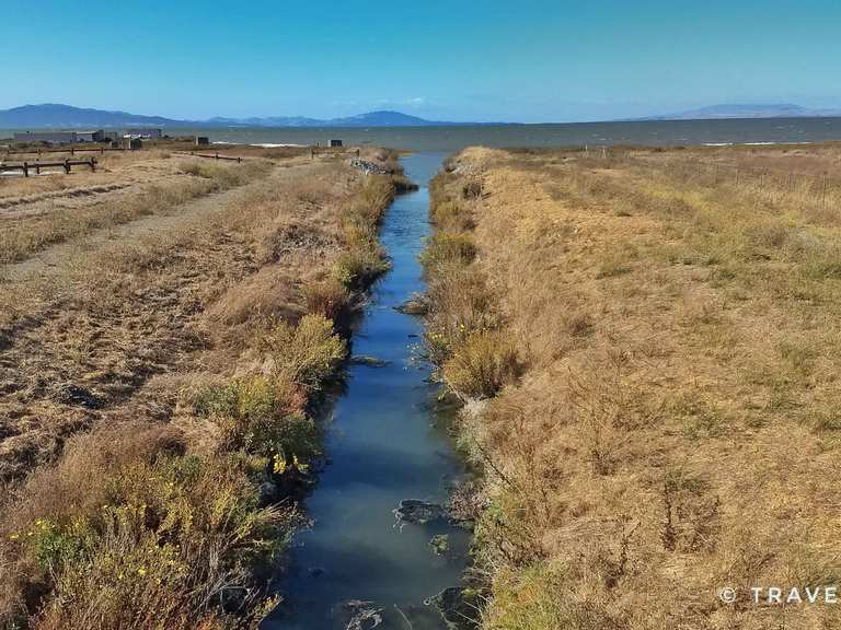 Point Pinole Regional Shoreline 🌊 South Entrance Bay Trail ...