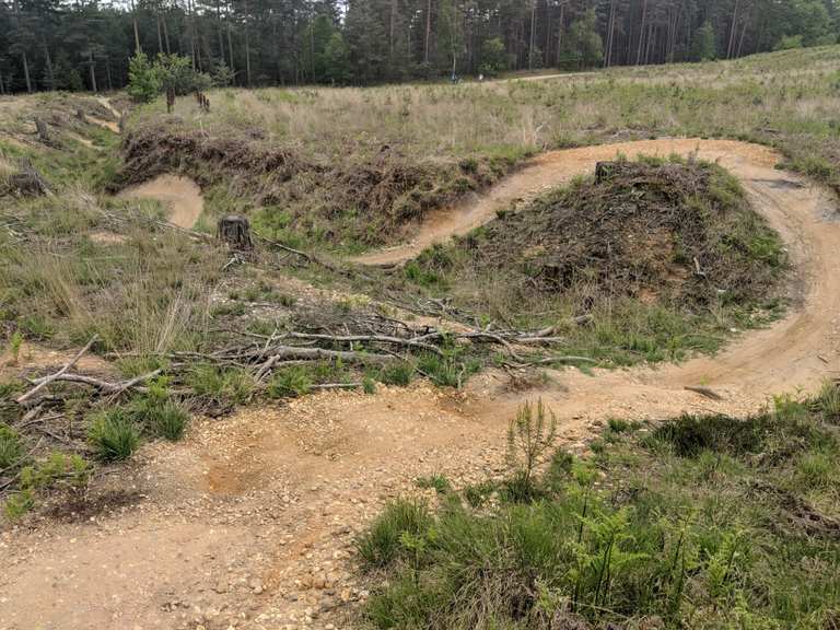 Swinley Forest Mountain Bike Trails – Hiking & Cycling Routes | Komoot