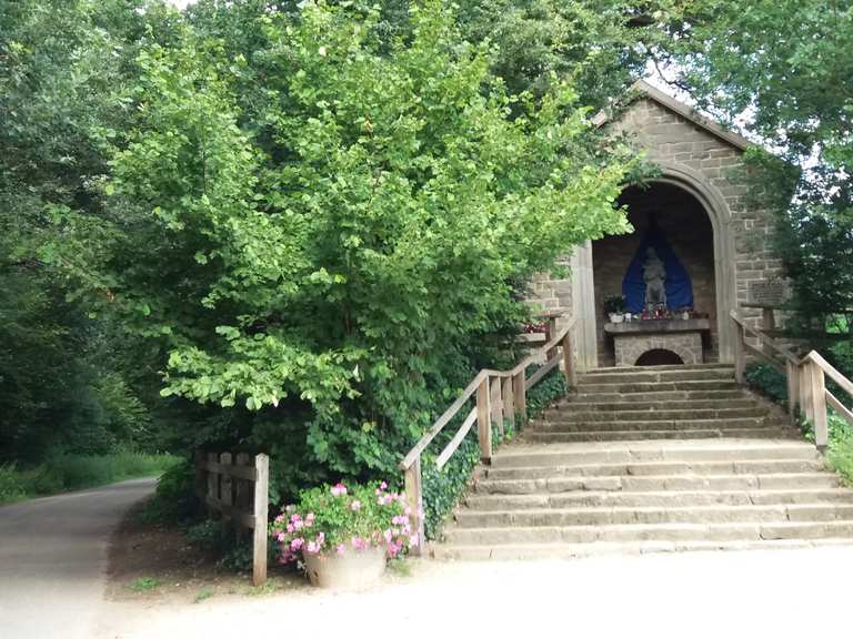 Tankenberg : Radtouren und Radwege | komoot