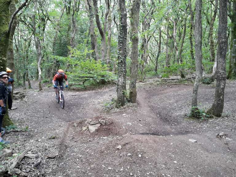 Warrine Mine Shaft, Unity Wood - Mountain Bike Trails & Tracks | Komoot
