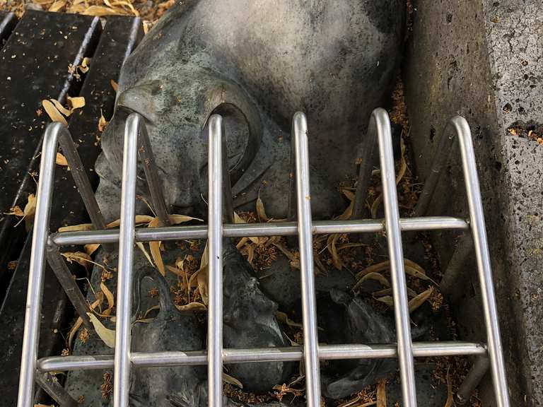 Mausefallenmuseum, Neroth Routes for Walking and Hiking | Komoot