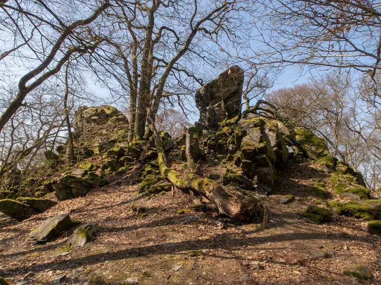 Dachsbau wandelroutes en hikes | Komoot