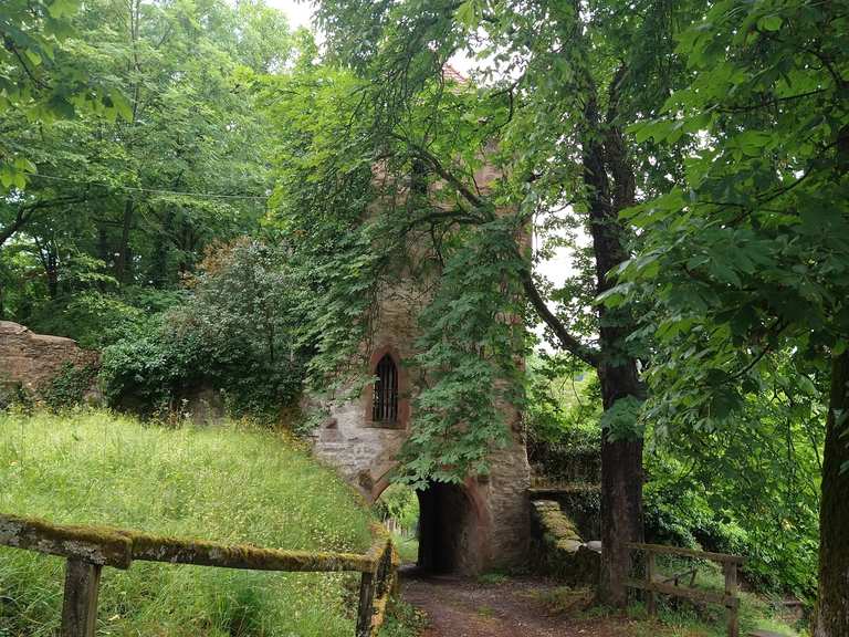 Burg Neidenstein Routes for Walking and Hiking | Komoot