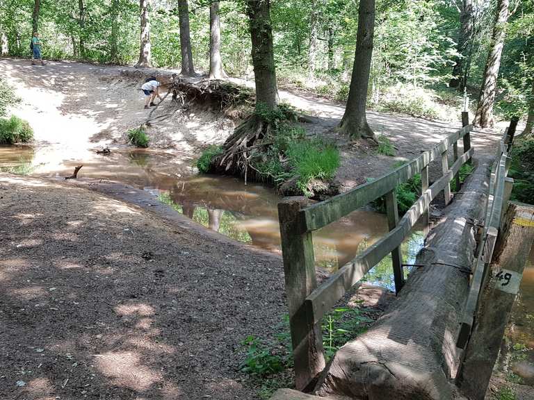 Boomstam brug wandelroutes en hikes | Komoot