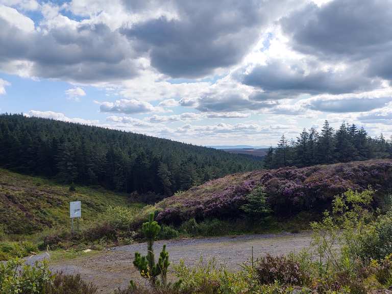 Glendine Gap : Radtouren und Radwege | komoot