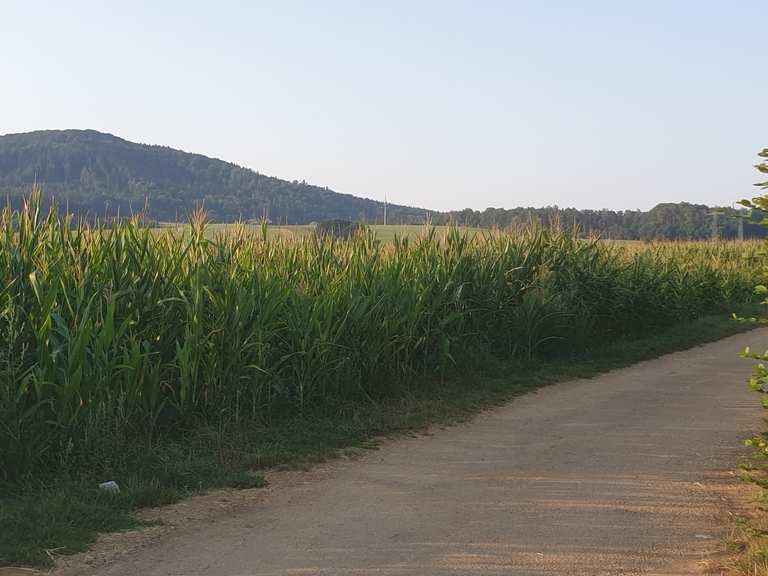 Berggaststätte Moritzberg – View of the Moritzberg loop from Schönberg ...
