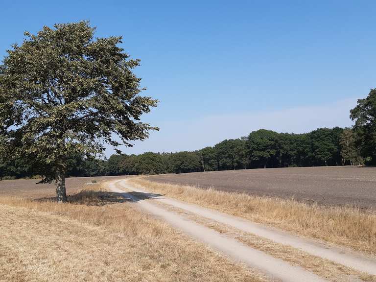 Onverhard - Bicycling Route van Bram de Vrind | gravel ride | Komoot