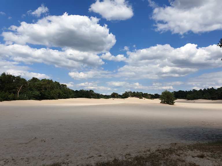 Second Jump Soest – Korte Duinen, Soesterduinen loop from Amersfoort ...