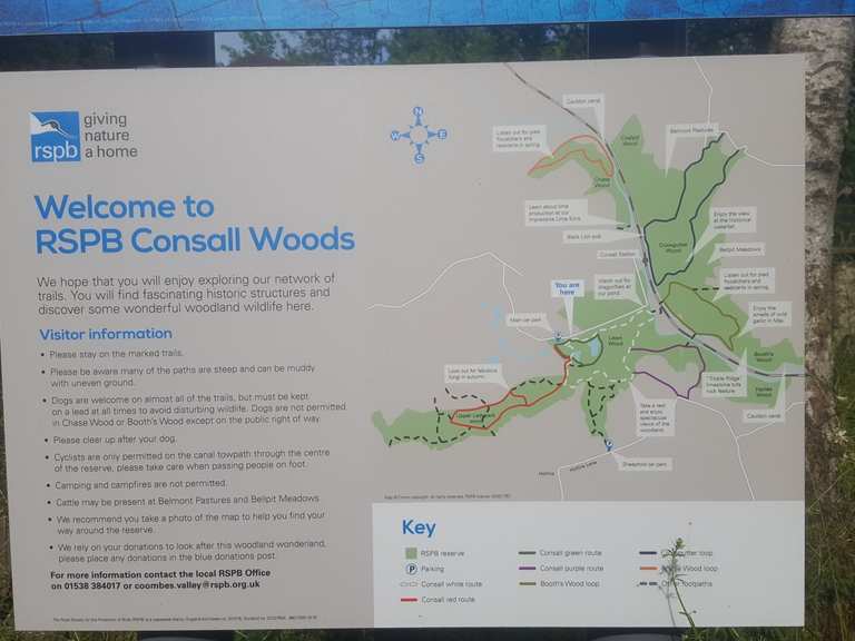 RSPB Consall Woods Routes for Walking and Hiking | Komoot