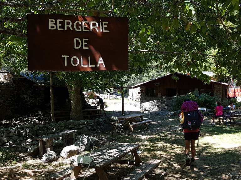 Bergerie de Tolla: Wanderungen und Rundwege | komoot
