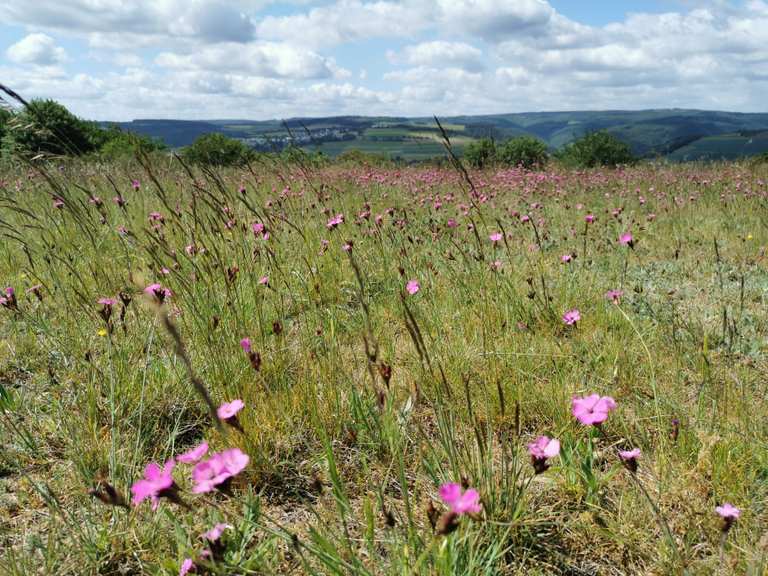 Blick auf Patersberg: Wanderungen und Rundwege | komoot