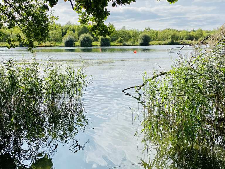 Treeton Dyke: Wanderungen und Rundwege | komoot