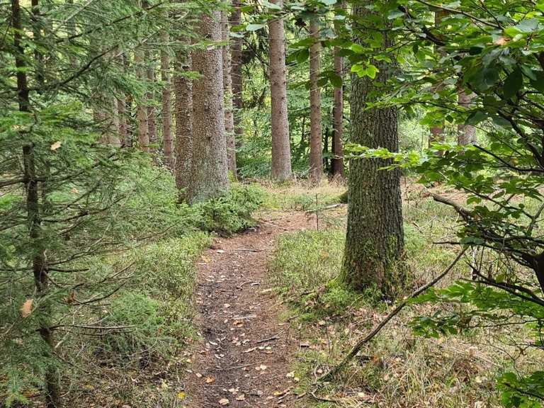 Trail Mountain Bike Trails & Tracks | Komoot