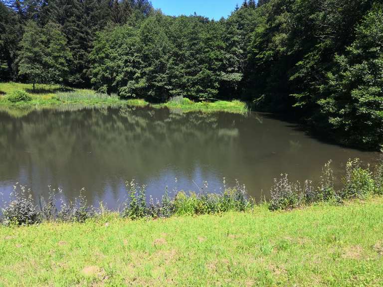 Michelsee bei Aglasterhausen-Michelbach : Radtouren und Radwege | komoot