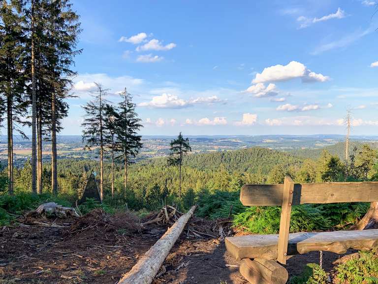 Dörenberg mit Hermannsturm Routes for Walking and Hiking | Komoot