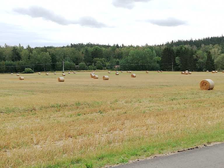 Landschaft : Radtouren und Radwege | komoot